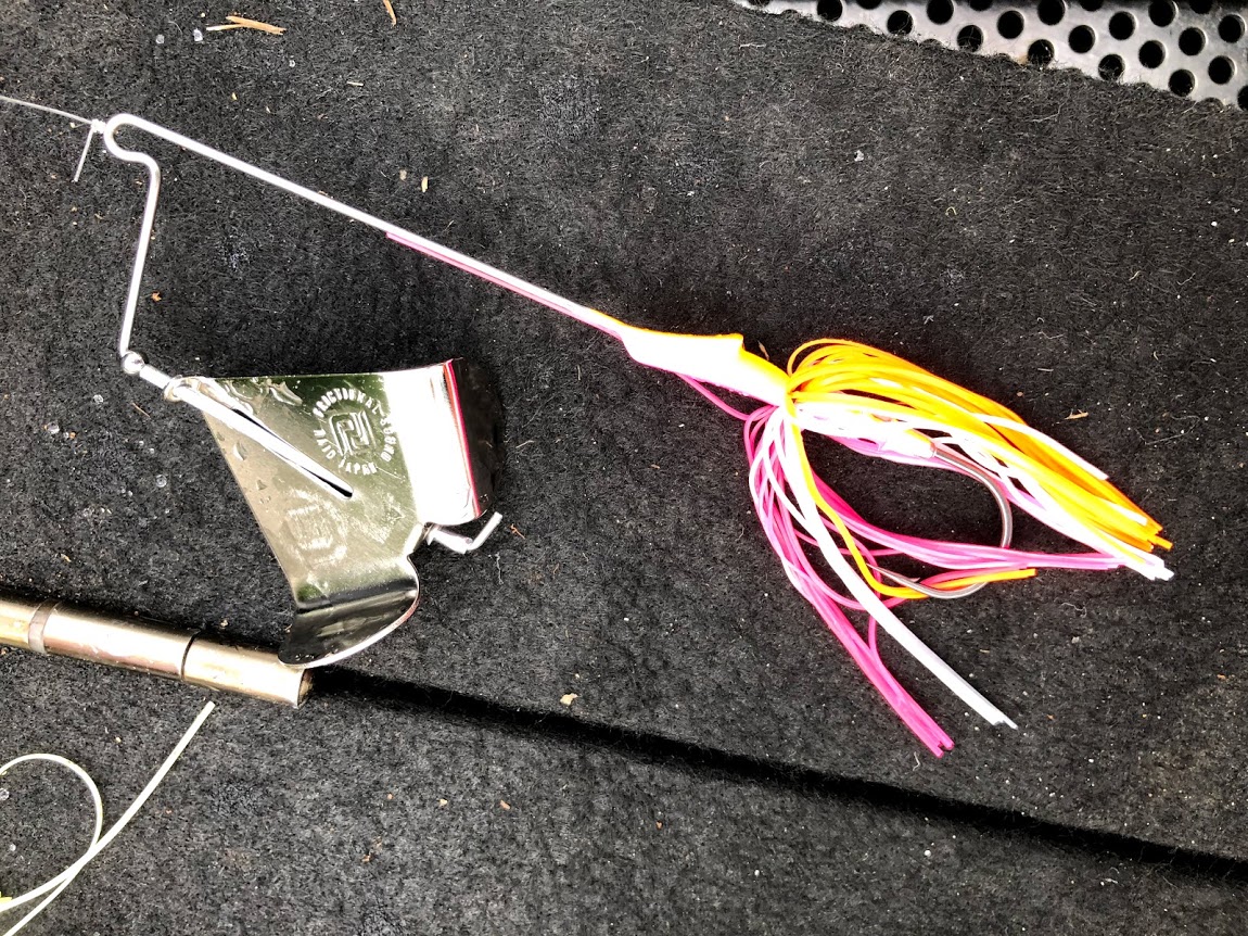 RAID JAPAN マスタブラスタ インプレ。エイジング不要のシブいサウンド。 | ikahime | 2ページ目