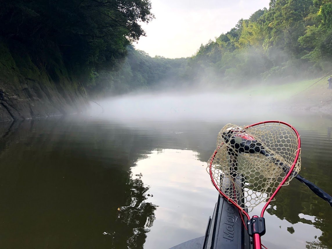 アチチな三島湖バス釣り。豊英からの放水MAXでどう変わるか。 | ikahime