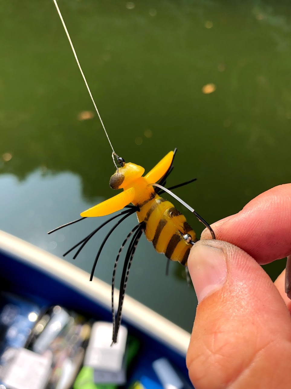 エバーグリーン [FACT] ギズモ。高単価だけど…ラストエースがあまりにも釣れるので。 | ikahime | 2ページ目