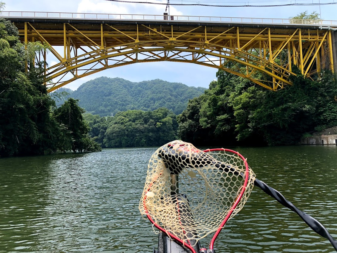 7月の相模湖アタック。スワンプJHWで40UP、ギズモでレギュラーサイズ。 | ikahime | 2ページ目