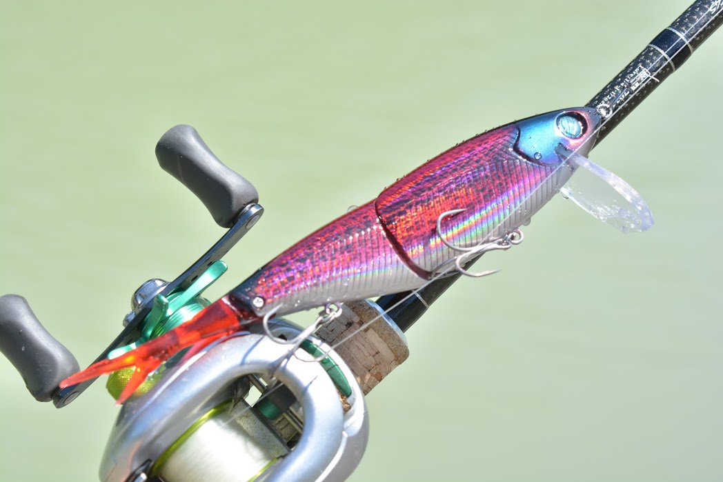 ファット・ラボ ネコソギDSRインプレ。関東でも使えるだろうか？？ | ikahime | 2ページ目