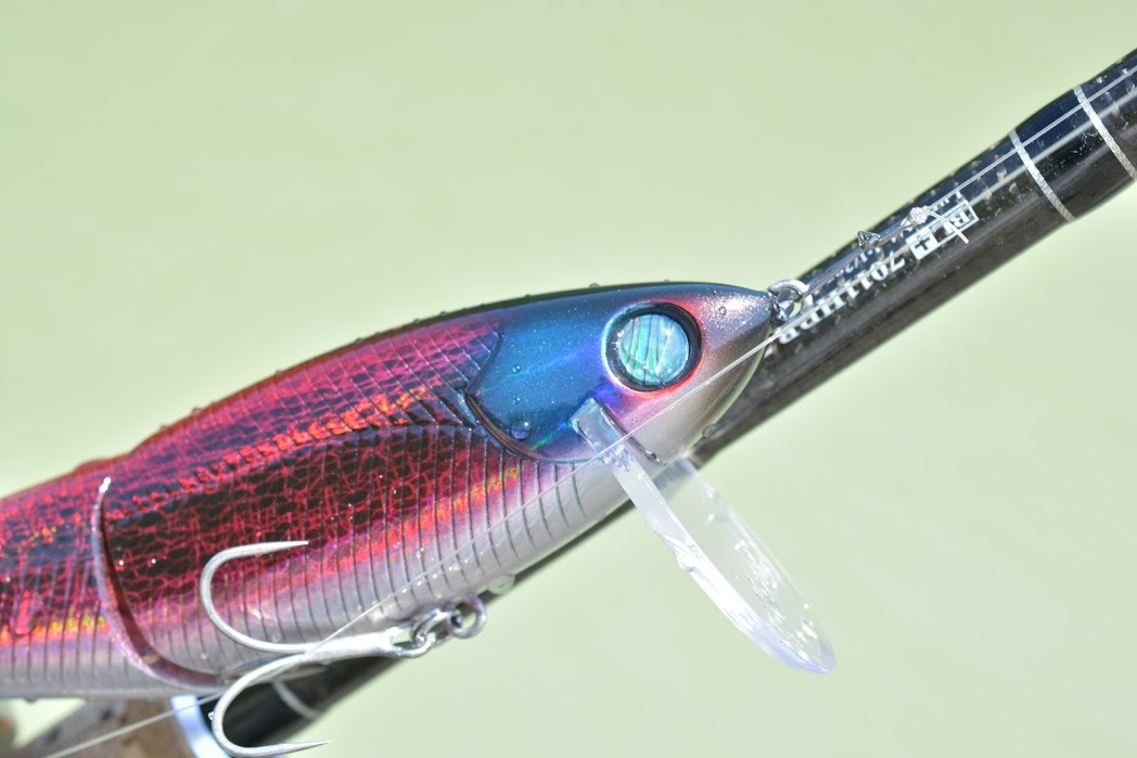 ファット・ラボ ネコソギDSRインプレ。関東でも使えるだろうか？？ | ikahime | 2ページ目