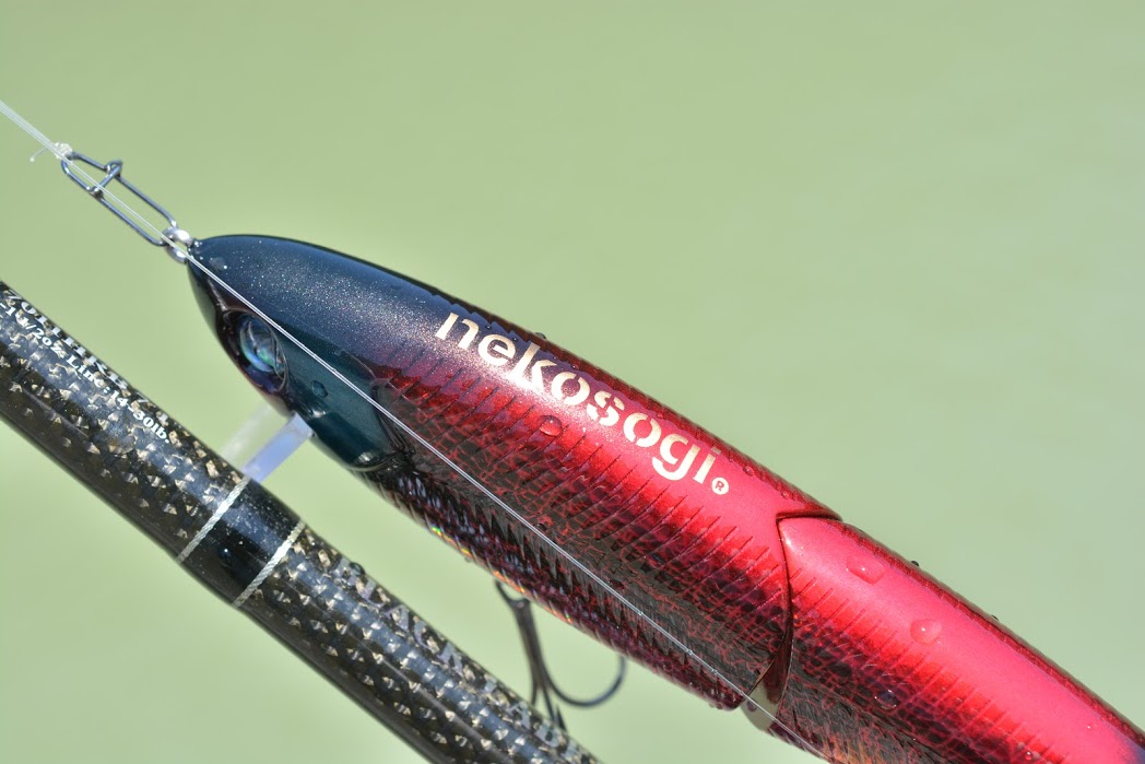 ファット・ラボ ネコソギDSRインプレ。関東でも使えるだろうか？？ | ikahime | 2ページ目