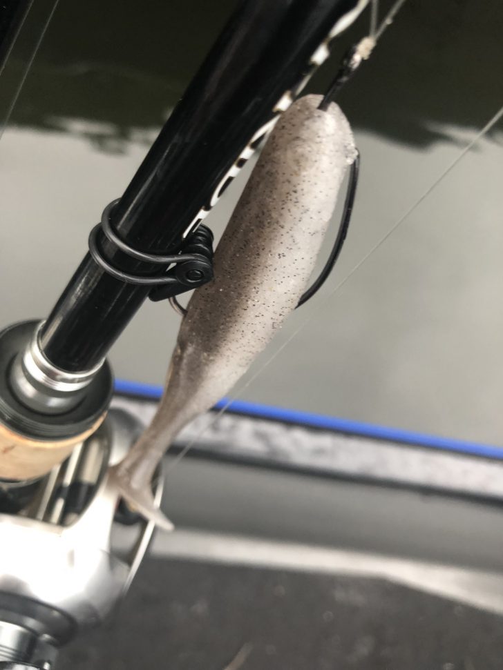 BOTTOM UP ヴァラップスイマーのサイトフィッシング。 | ikahime