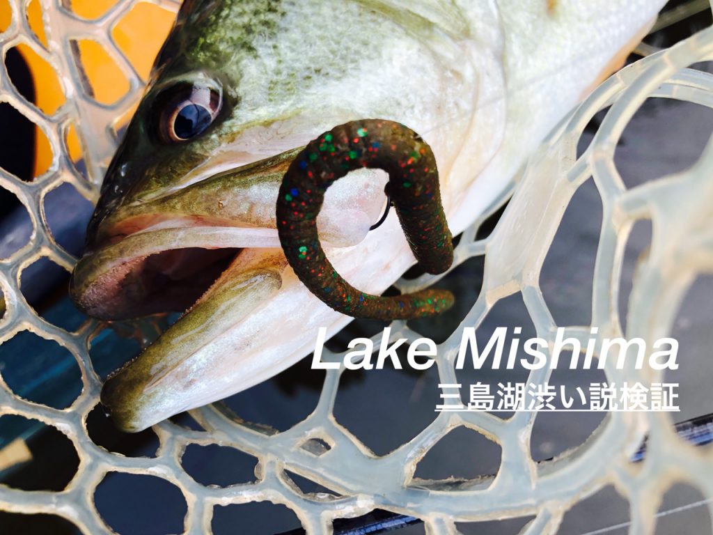 三島湖渋い説検証。マックスセントでお助けフィッシング。 | ikahime | 2ページ目