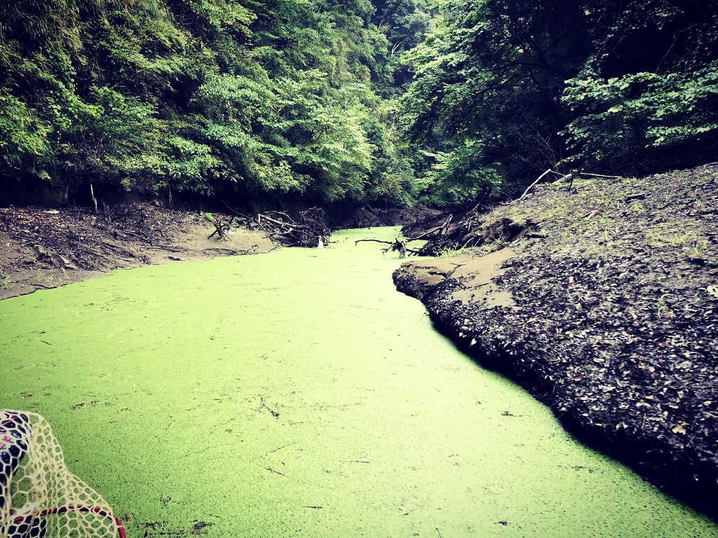 nories ウィンドレンジ デカコロ。パッケージから出してすぐにアオヤロウぶち抜き仕様 | ikahime | 2ページ目