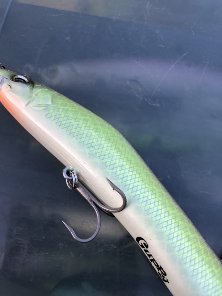 楽しいカワイイmibro グッピー。魅惑の超明滅ミノー。 | ikahime