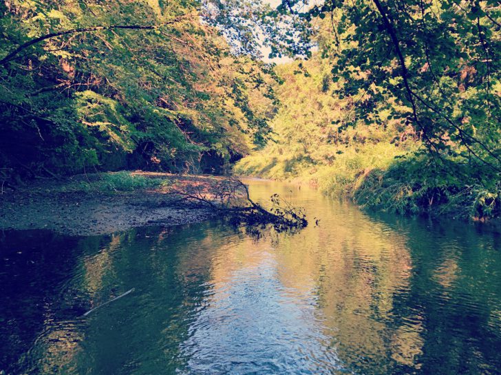 Mr.Nobite氏と行く秋の豊英ダムバス釣り。～ハネモノ＆上流サイト修行で良型!?～ | ikahime | 2ページ目