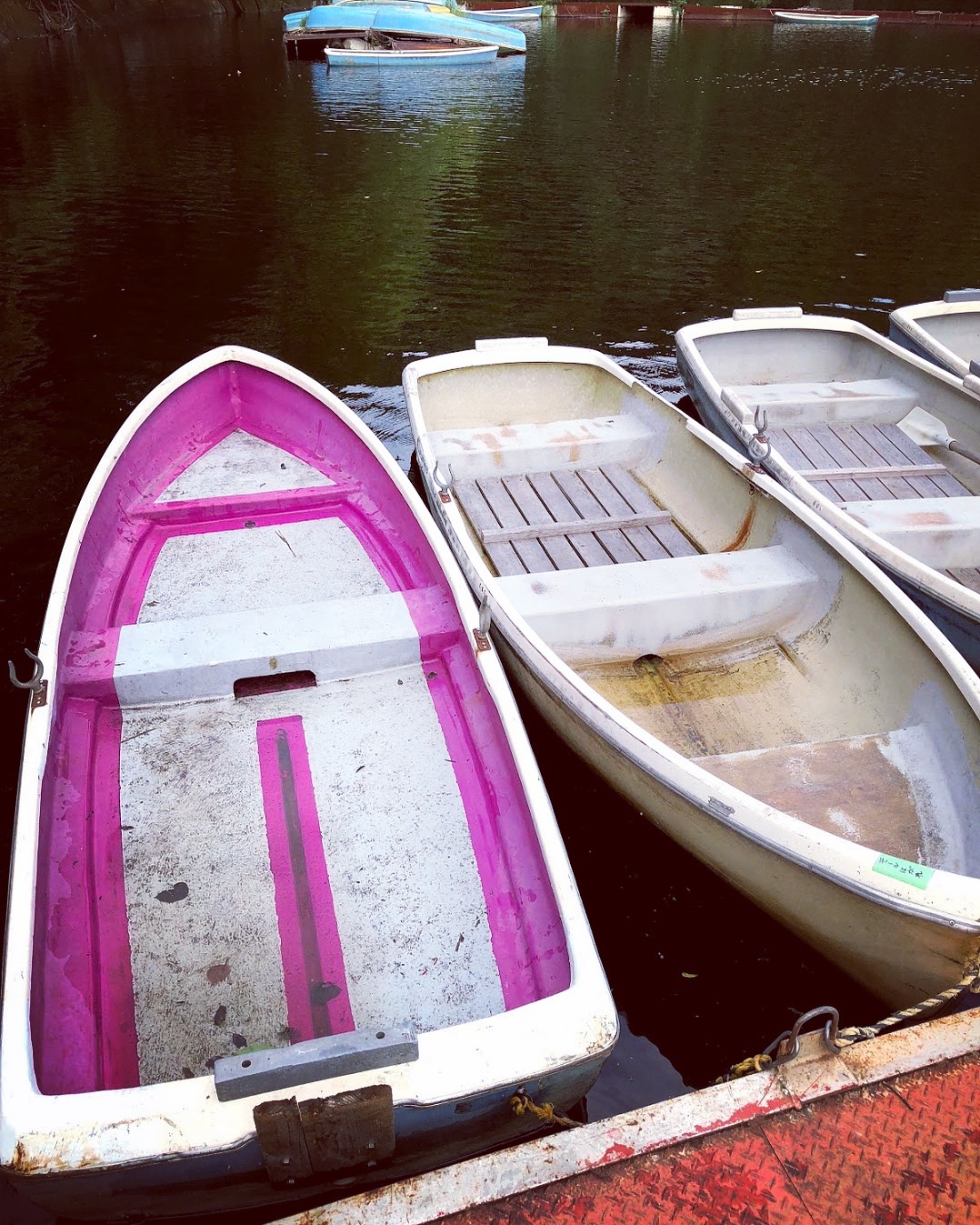 豊英ダムバス釣り。LC1.5スピンの巻きでほぼゴンザレス。 | ikahime