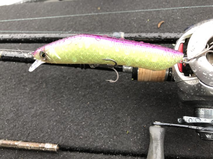 楽しいカワイイmibro グッピー。魅惑の超明滅ミノー。 | ikahime