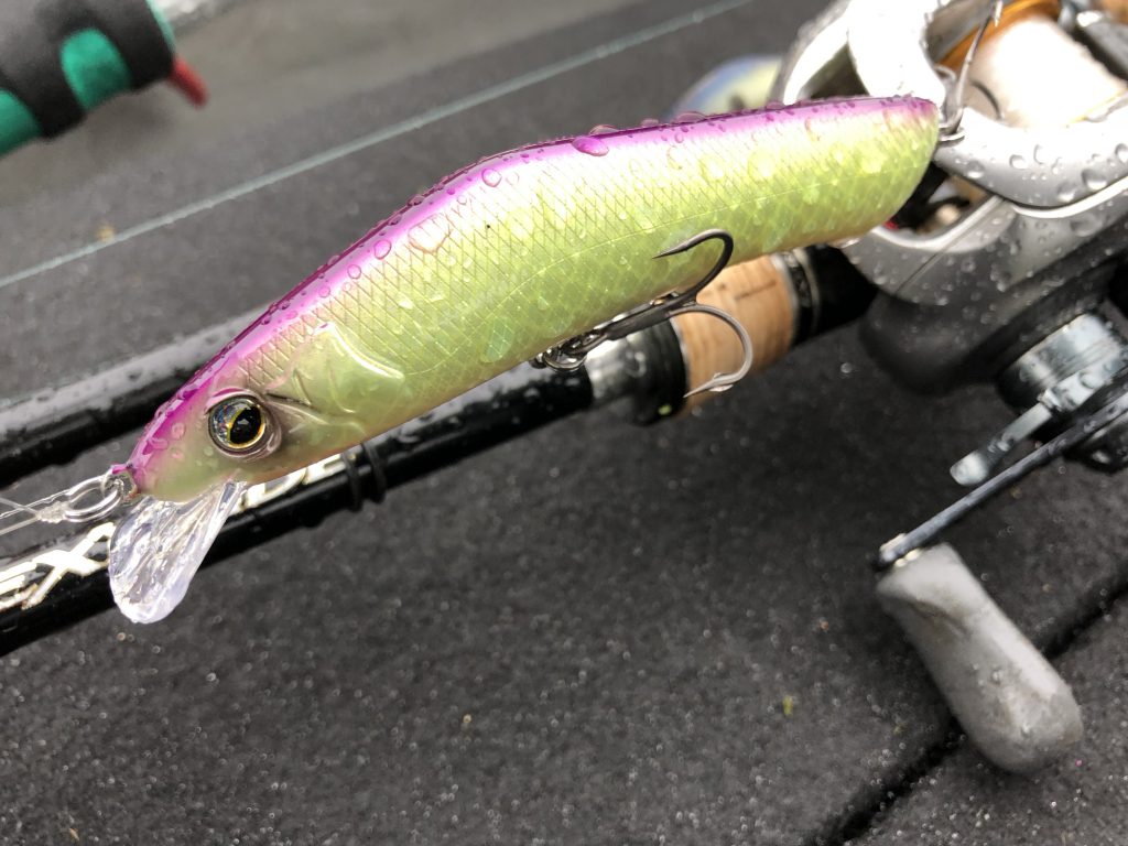 楽しいカワイイmibro グッピー。魅惑の超明滅ミノー。 | ikahime