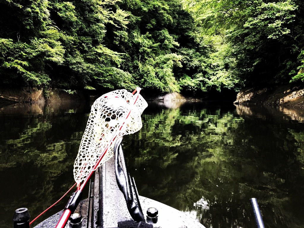 豊英ダムバス釣り。LC1.5スピンの巻きでほぼゴンザレス。 | ikahime