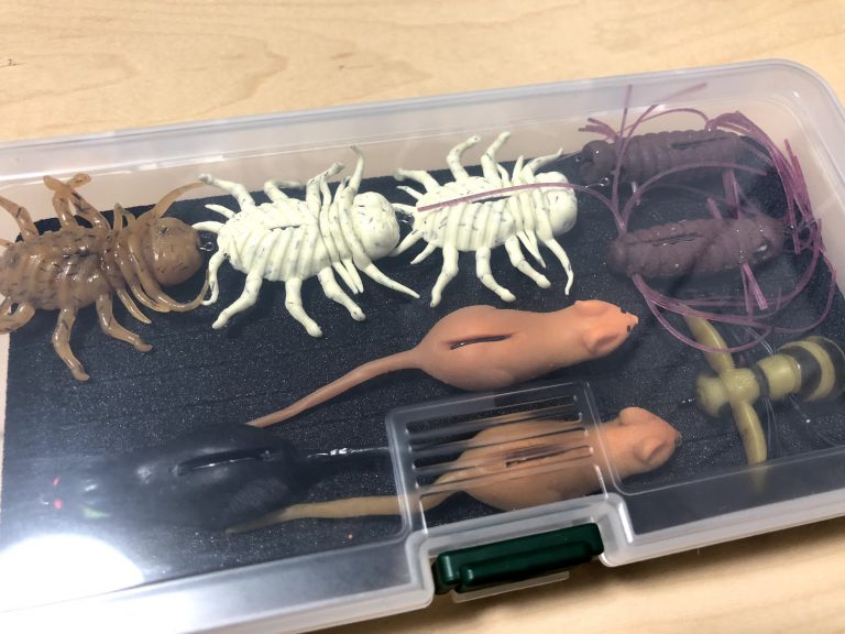 エラストマー製ルアーの保管方法。MEIHO スリットフォームケースLが秀逸。 | ikahime | 2ページ目