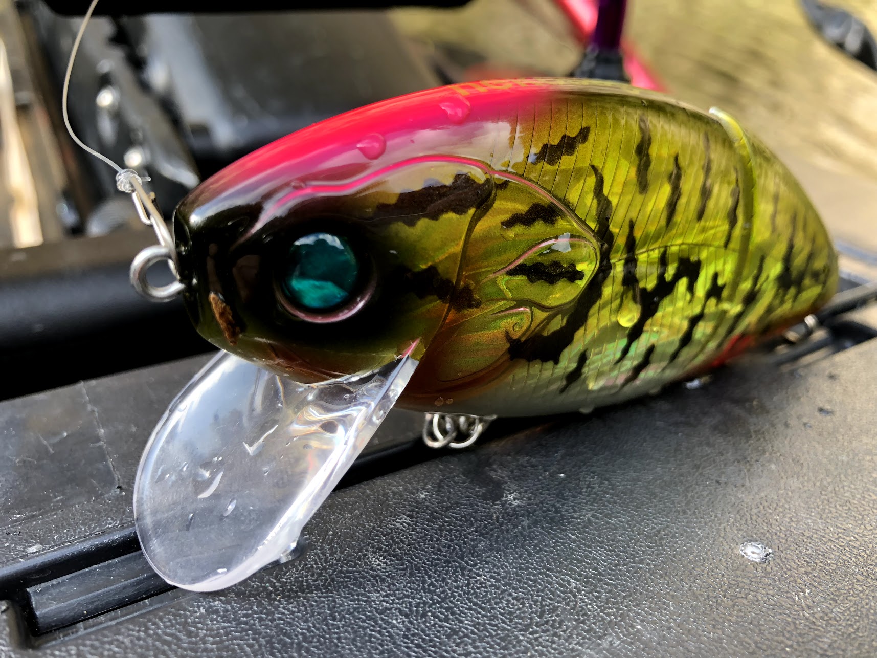 【極太】ファットラボ ネコソギル LL（ロングリップ）。ブリンブリンのおデブギルちゃん。 | ikahime | 2ページ目