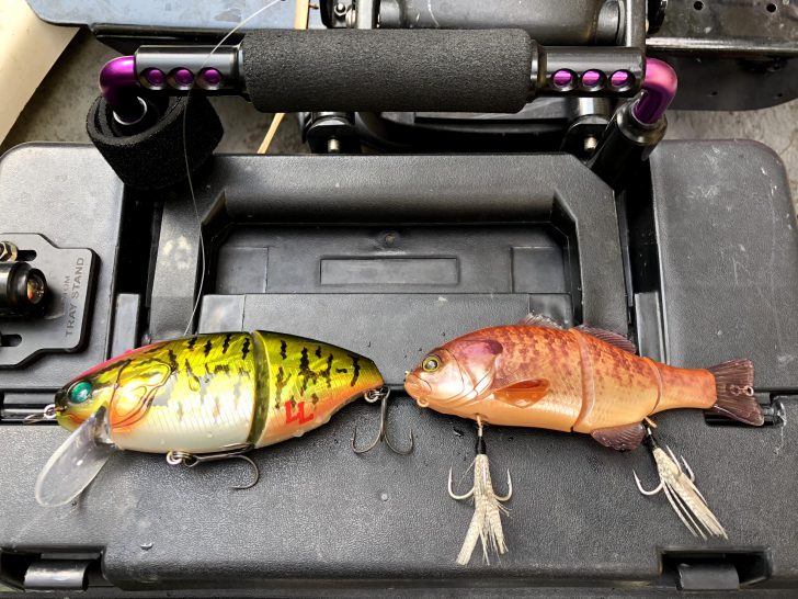 【極太】ファットラボ ネコソギル LL（ロングリップ）。ブリンブリンのおデブギルちゃん。 | ikahime