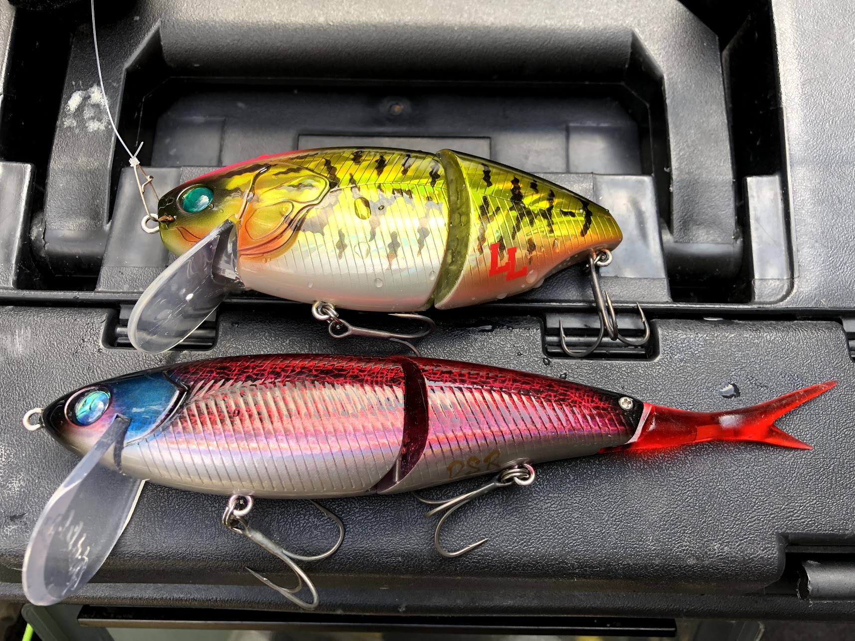 【極太】ファットラボ ネコソギル LL（ロングリップ）。ブリンブリンのおデブギルちゃん。 | ikahime | 2ページ目