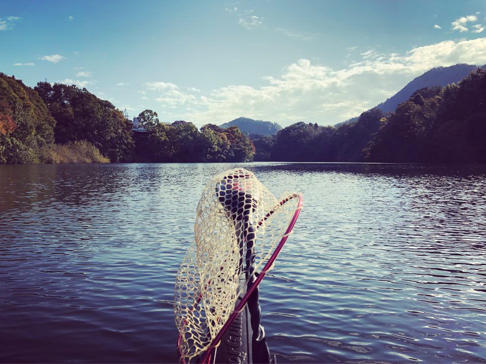 2018年総括。今年買って良かった釣り具まとめ～アパレル編～ | ikahime