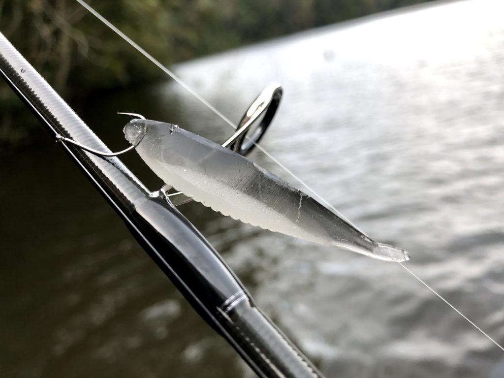 ソアリンシャッドⅡの「縦割りDS」で中層の魚をミドストで狙おう！ | ikahime