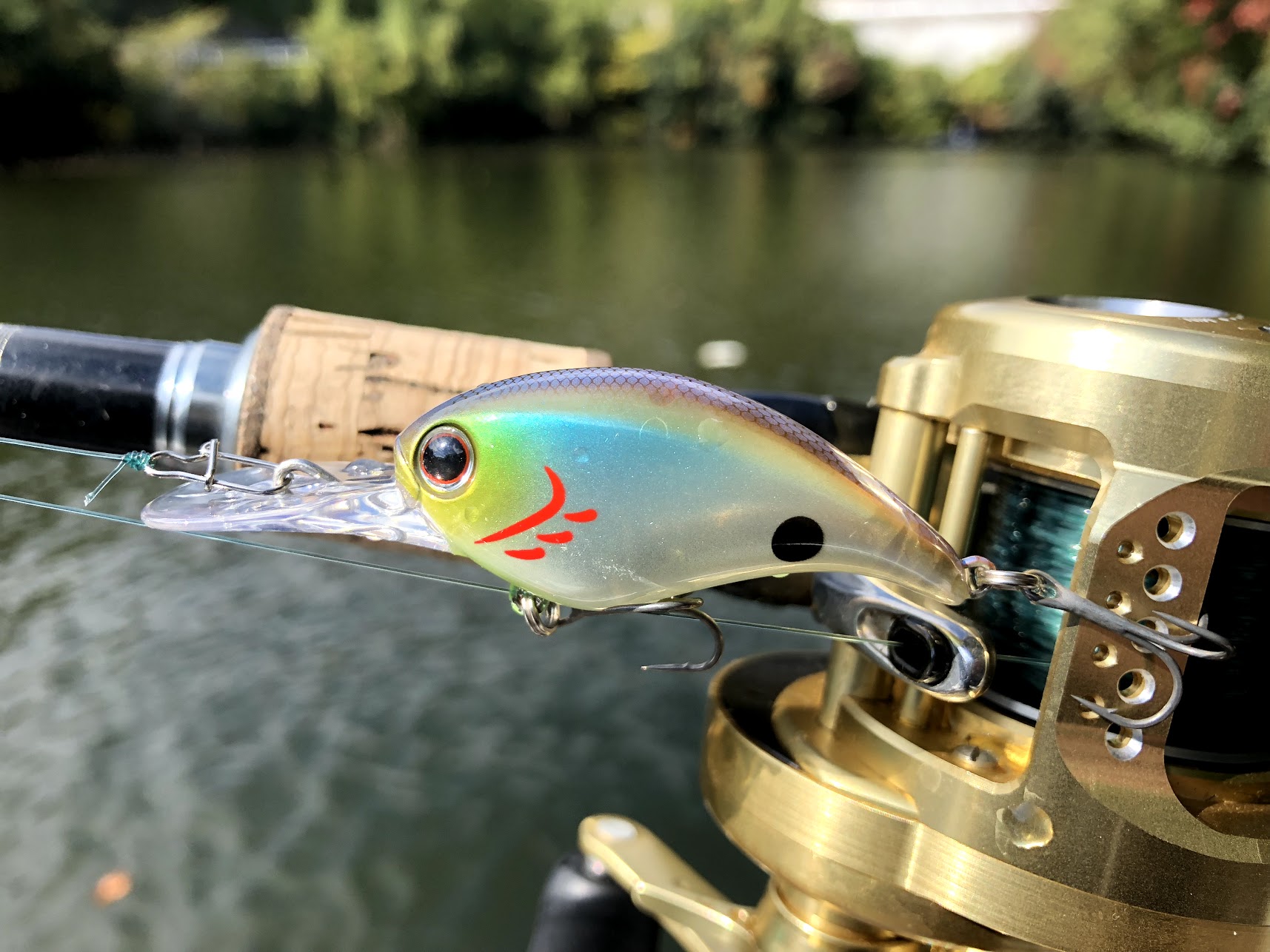 DSTYLE クロールアップ。小粒でもピリリと辛いやつ。 | ikahime