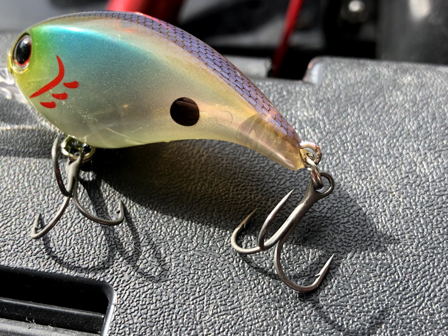 DSTYLE クロールアップ。小粒でもピリリと辛いやつ。 | ikahime | 2ページ目