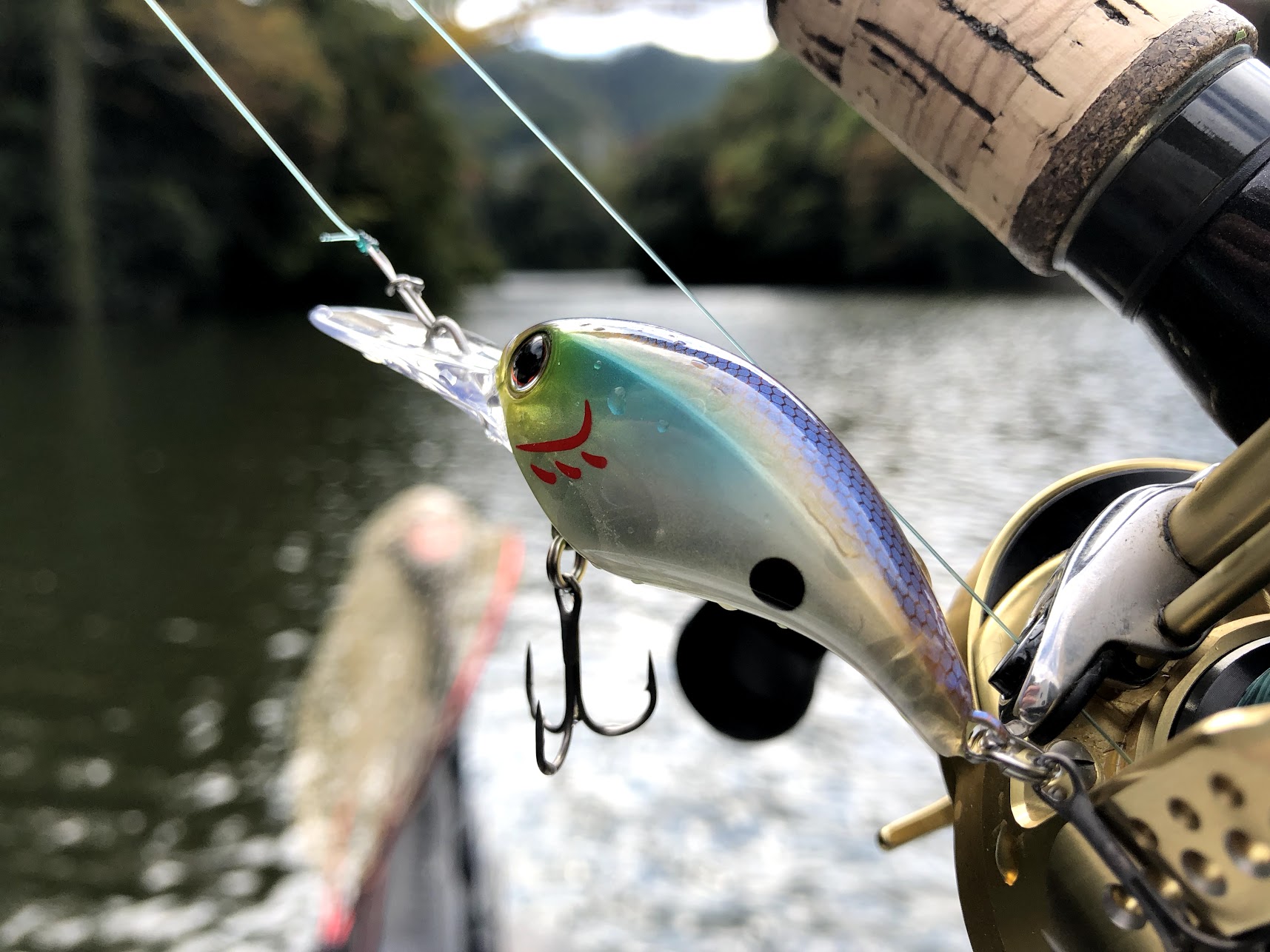 DSTYLE クロールアップ。小粒でもピリリと辛いやつ。 | ikahime