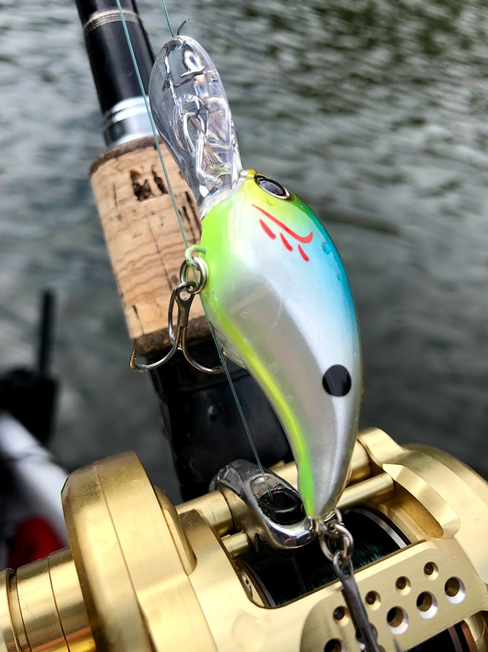 DSTYLE クロールアップ。小粒でもピリリと辛いやつ。 | ikahime | 2ページ目