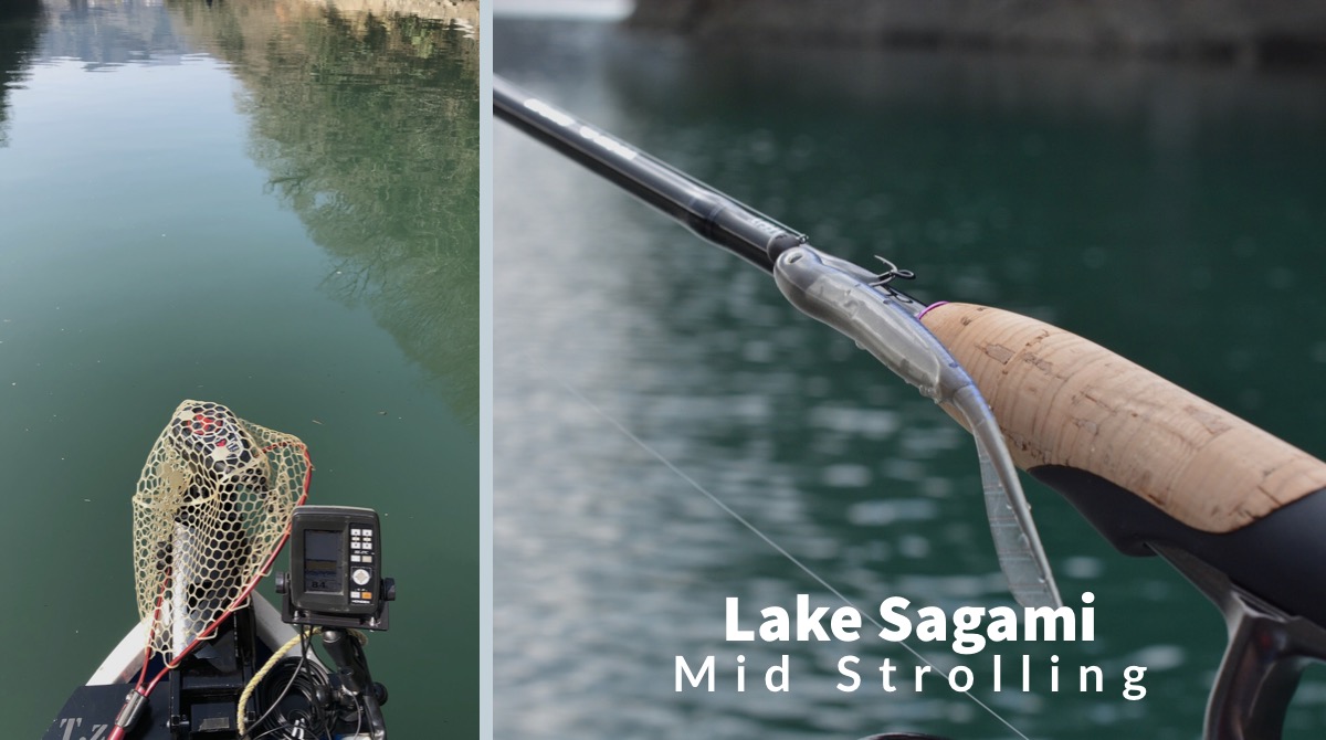 ミドスト旋風！厳冬期の相模湖で、今何が起きているのか。 | ikahime