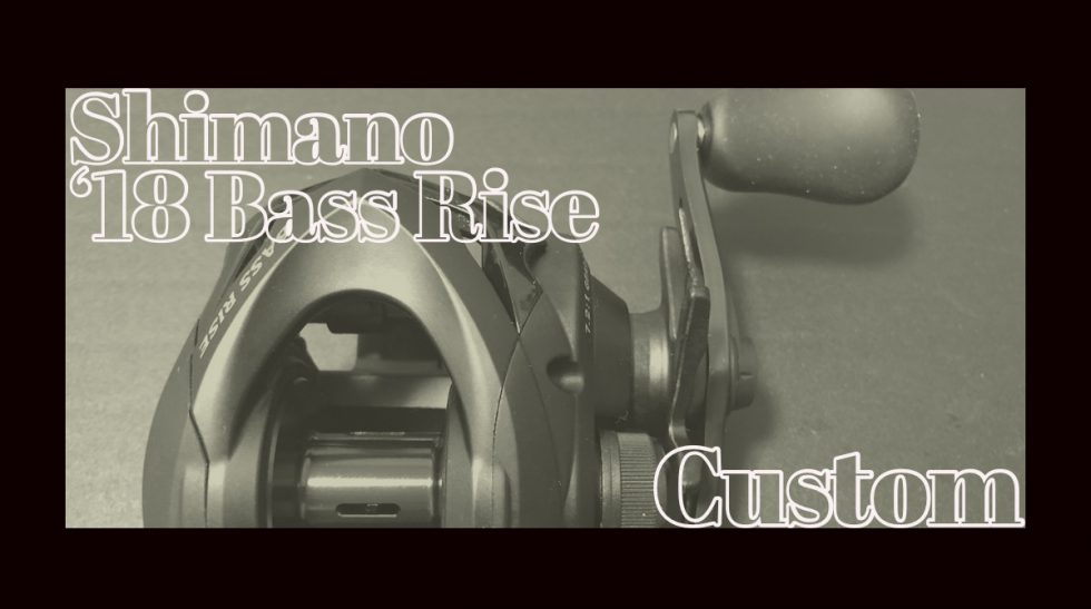 バスライズ カスタム道Vol.1。開封の儀&メインギア観察 | ikahime