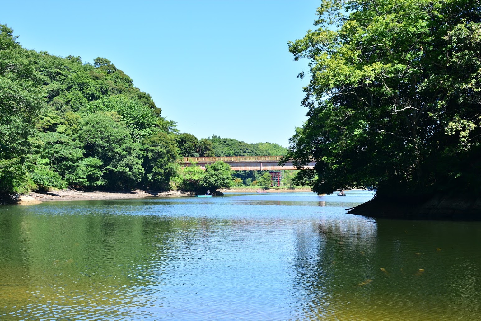 NEOバス釣り用語集。 | ikahime