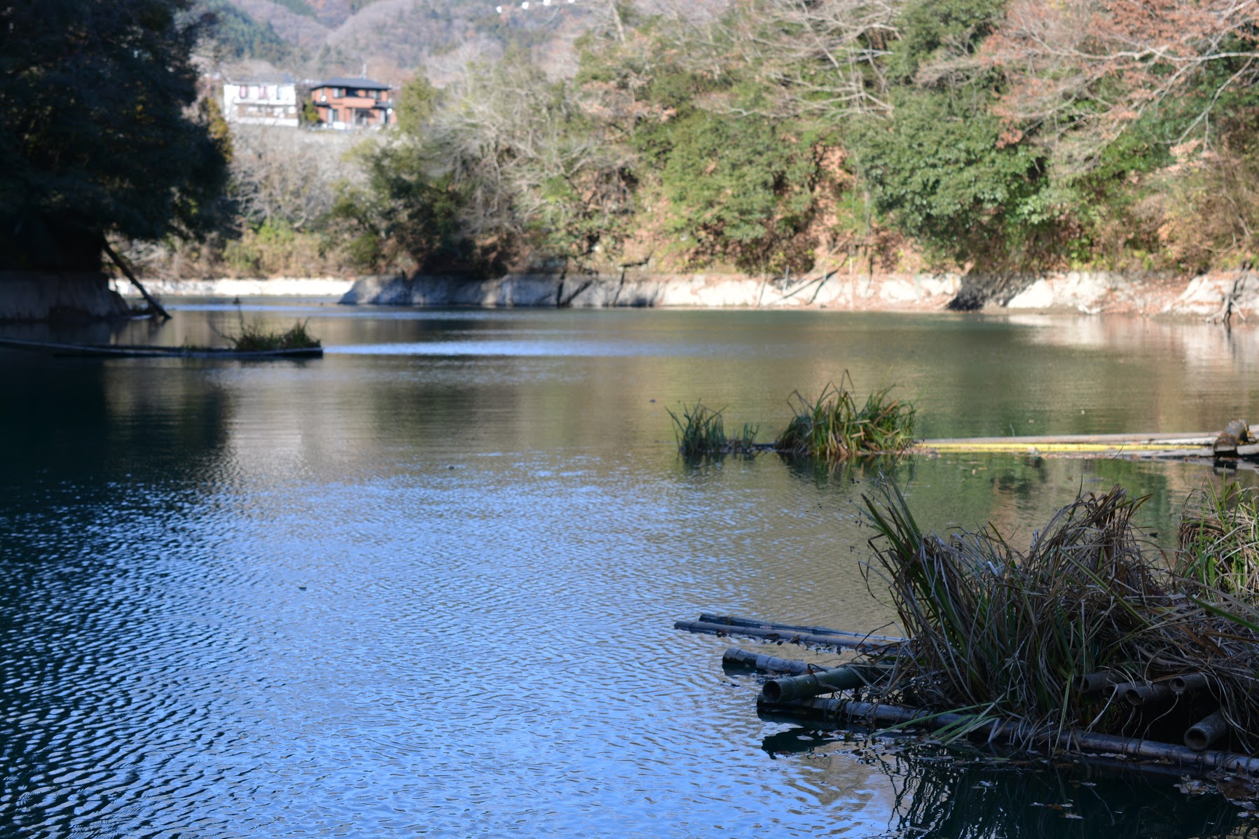 NEOバス釣り用語集。 | ikahime