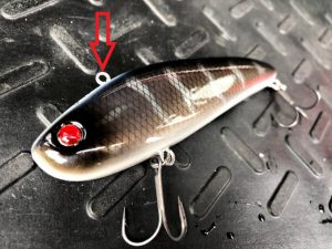 NEOバス釣り用語集。 | ikahime