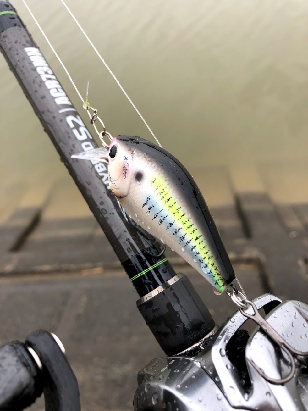 高いロッド、安いロッドは何が違うのか。 | ikahime | 2ページ目