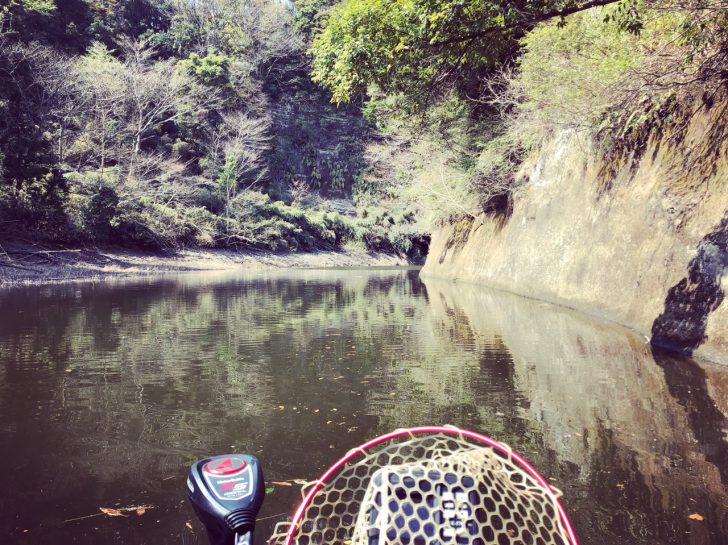 極小ワームは必要か。マイクロベイトパターンの勇気。 | ikahime