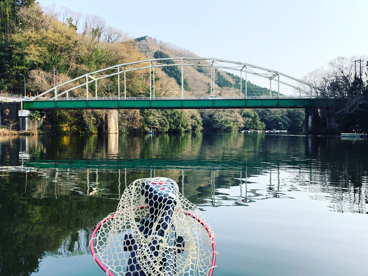 春の相模湖 プリスポーン攻略！どこで釣れば良いの？ | ikahime