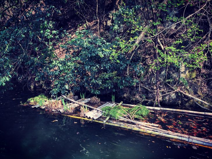 春の相模湖 プリスポーン攻略！どこで釣れば良いの？ | ikahime | 2ページ目