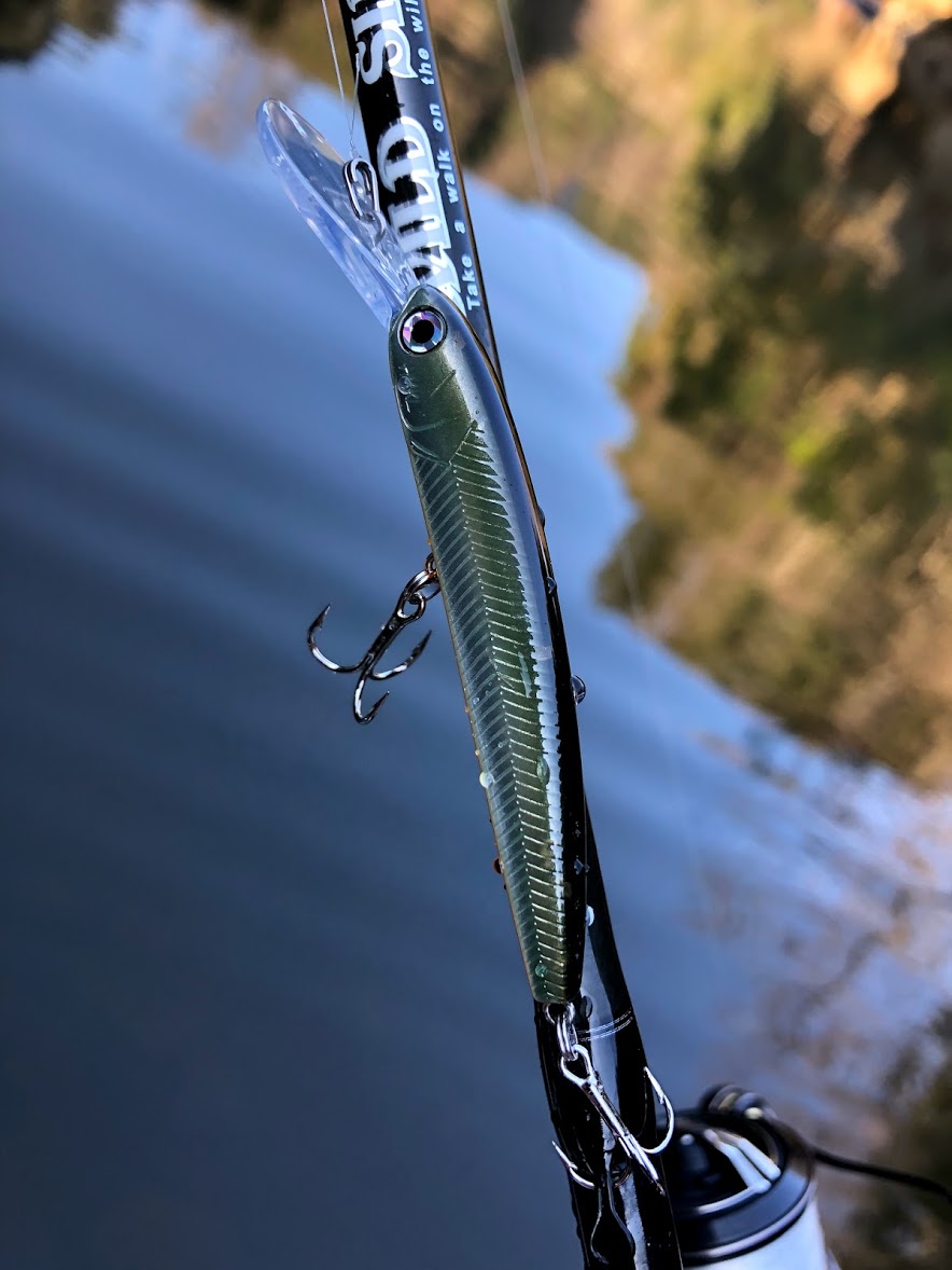 ハンクル ザッガー65。亀山で強いこの辺のミノーをマスターしたい。 | ikahime