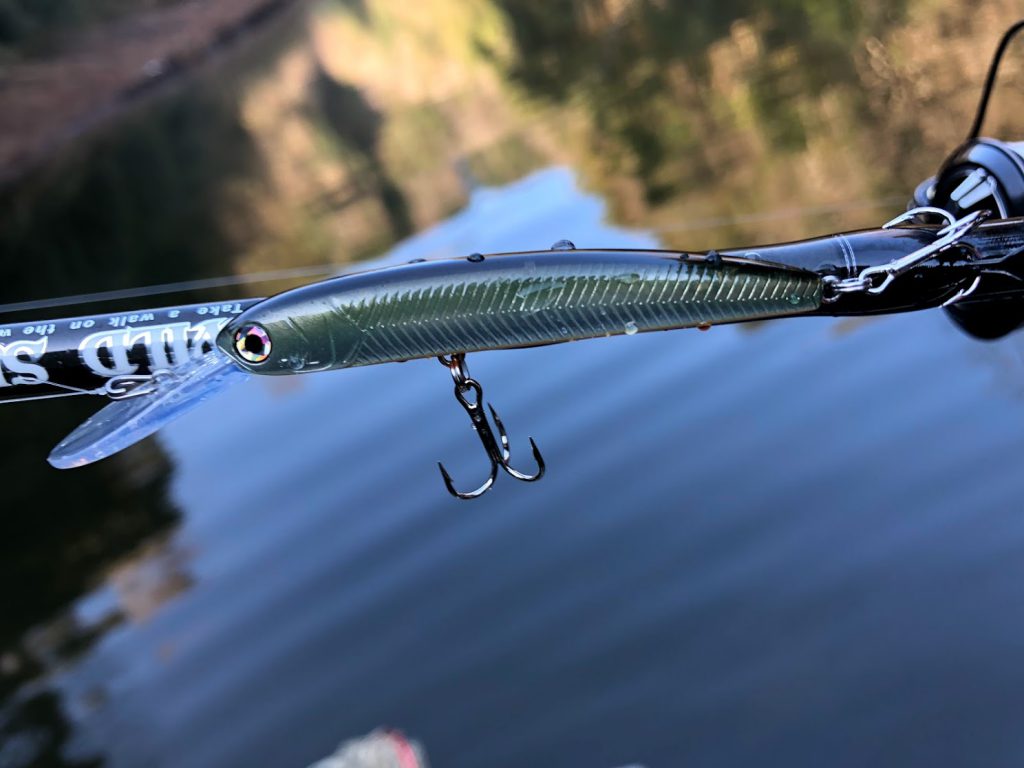 ハンクル ザッガー65。亀山で強いこの辺のミノーをマスターしたい。 | ikahime