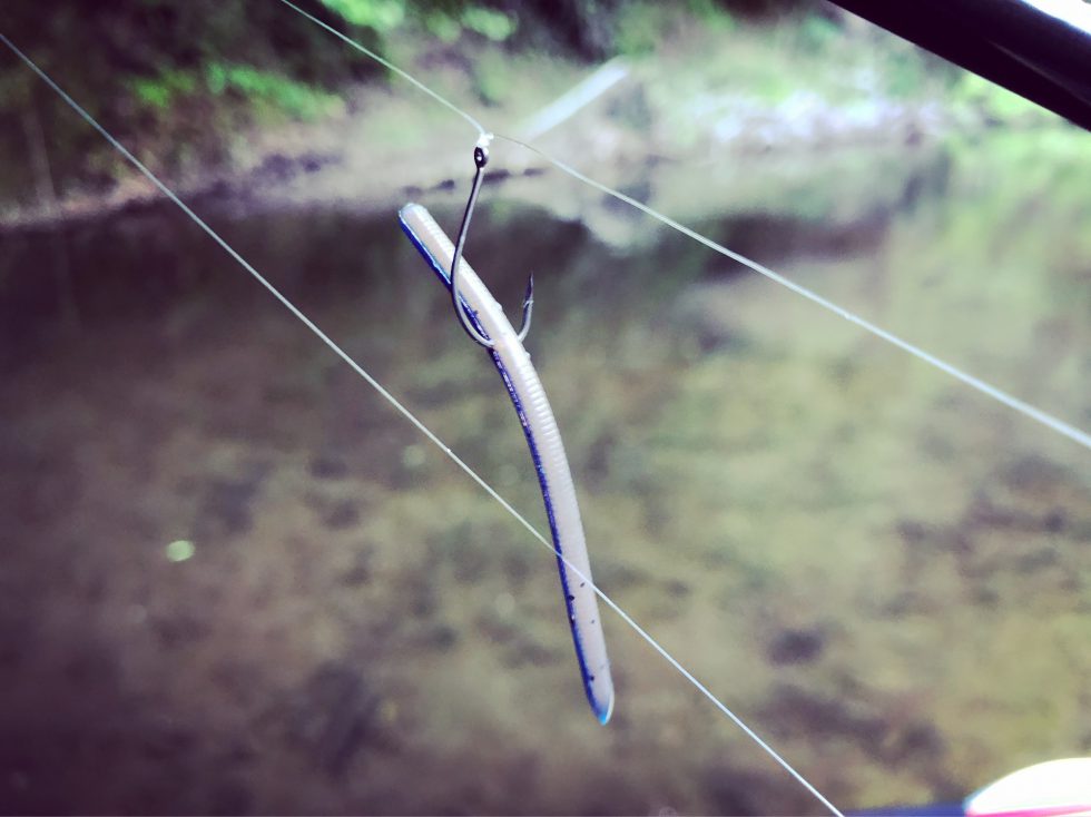 極小ワームは必要か。マイクロベイトパターンの勇気。 | ikahime