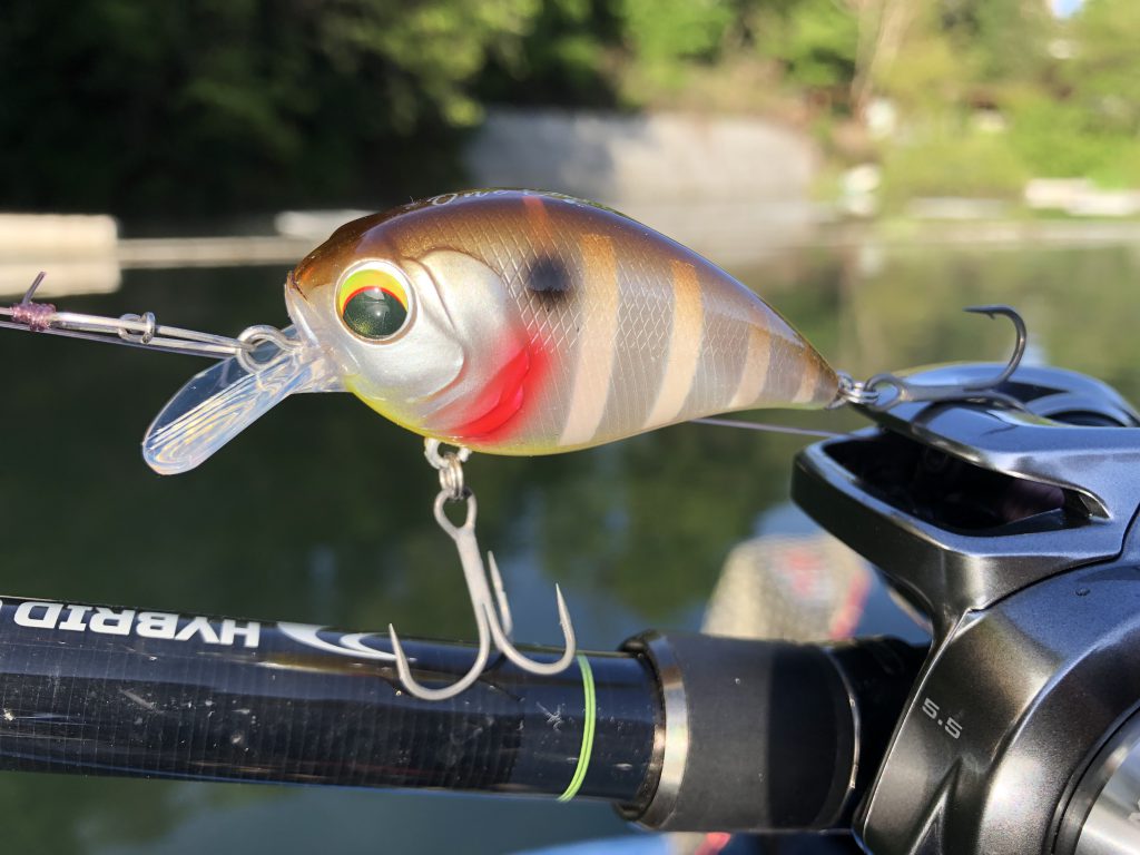 キタさんのペイフォワード ワンエイトSR投げてみたよ！ | ikahime