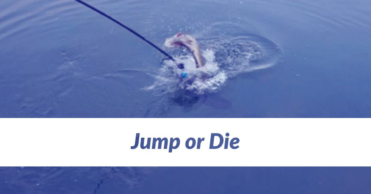 バス釣りファイト塾。ジャンプバラシ！を防ぐ方法。 | ikahime