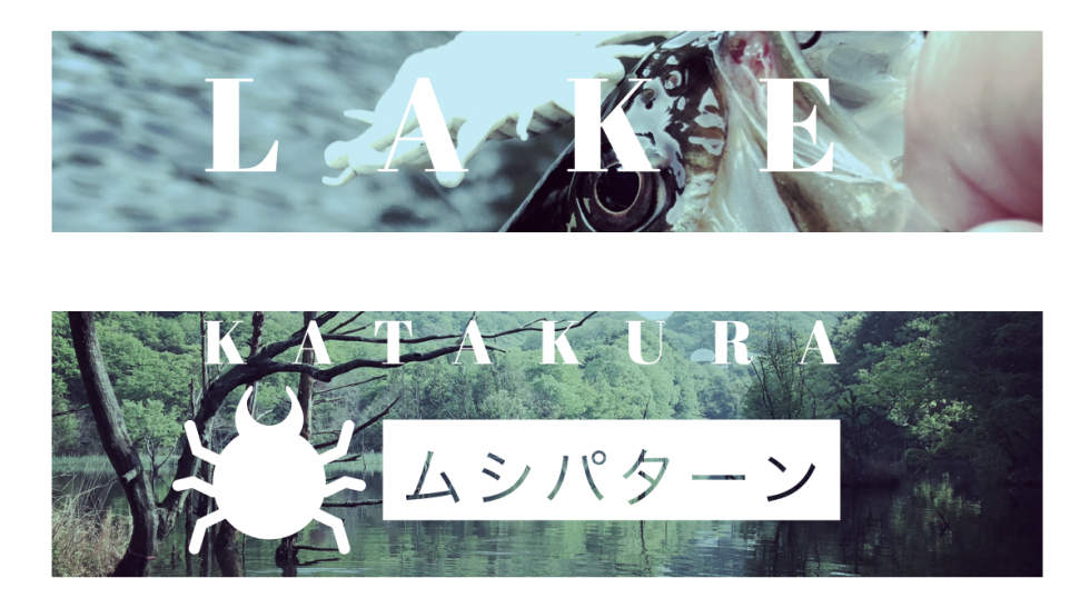 片倉ダム 虫パターンで数釣り！の巻 〜動かし方やエリアなど〜 | ikahime