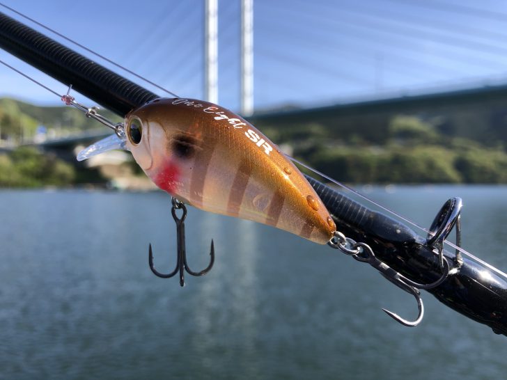 キタさんのペイフォワード ワンエイトSR投げてみたよ！ | ikahime