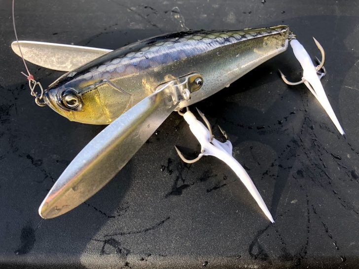 RAID JAPAN デカダッジ インプレ。デカいだけじゃない横綱級ハネモノ | ikahime