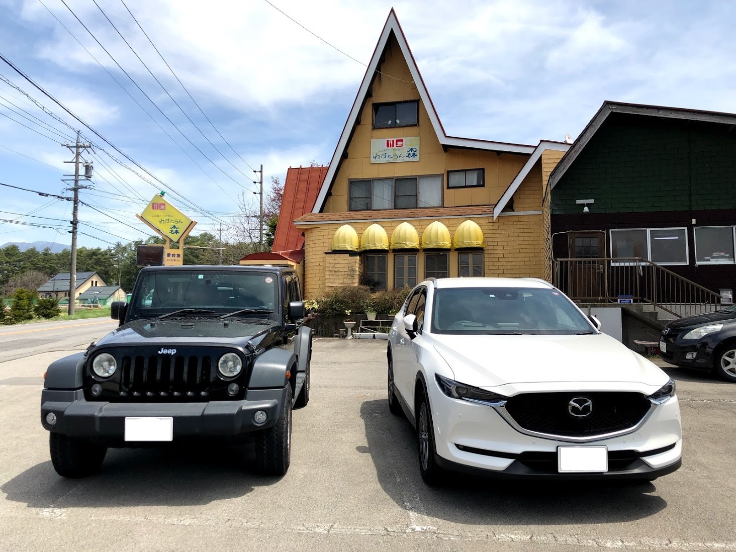 標高1000mのバスフィッシング。長野県 蓼科湖フィールドレポート。 | ikahime | 2ページ目