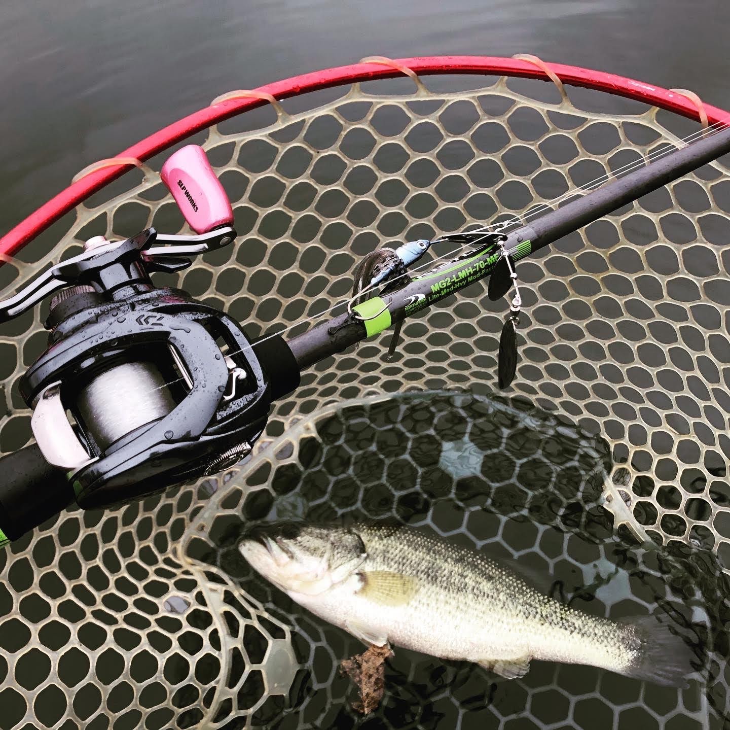 ボトムアップ (Bottomup) ビーブル (Beeble) インプレ。レンジキープしやすいスピナーベイト。 | ikahime