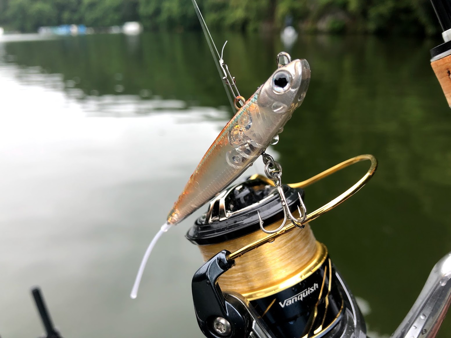 ティムコ トラファルガー7は普通のi字系じゃない！感動の鬼ロールアクション。[実釣インプレ] | ikahime