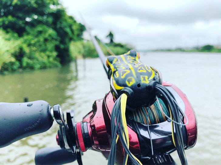 新利根川バス釣り。表層フロッグゲームのはずがDEXチョッポで40アップGET。 | ikahime