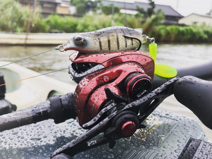 新利根川バス釣り。表層フロッグゲームのはずがDEXチョッポで40アップGET。 | ikahime | 2ページ目