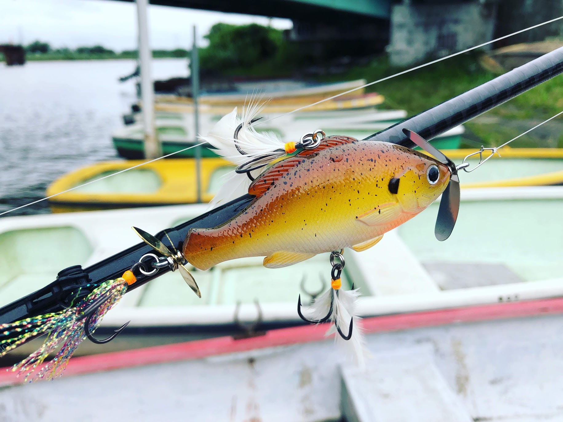 【MPB LURES】BEEP Call Gillインプレ。独創的なギル型I字系。 | ikahime | 2ページ目