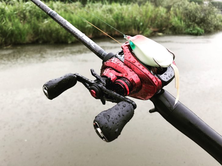 新利根川バス釣り。表層フロッグゲームのはずがDEXチョッポで40アップGET。 | ikahime